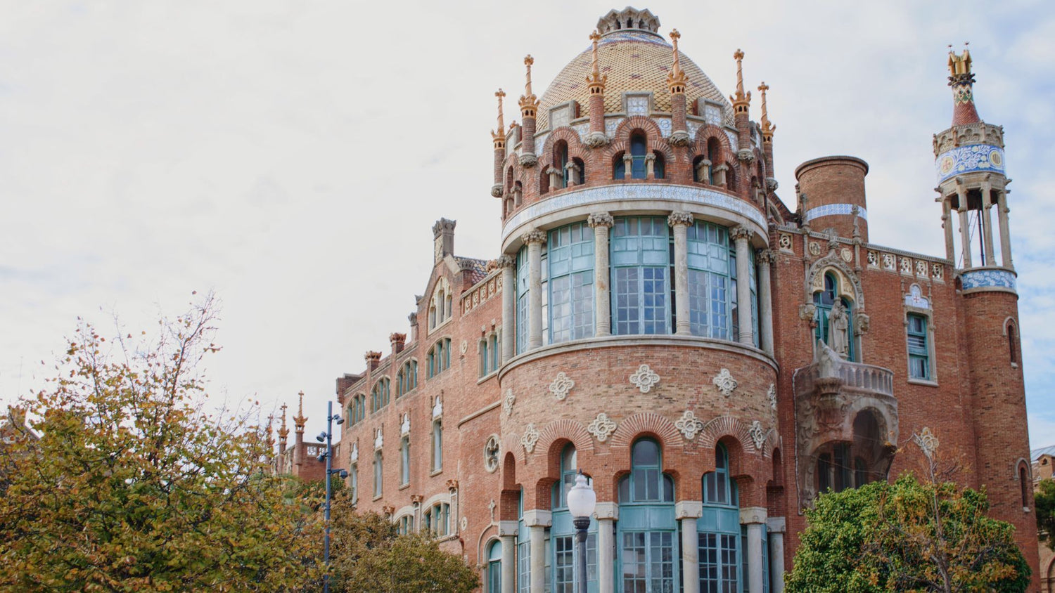 Zenement | Healthy & High Quality Food Supplements| Shop Online